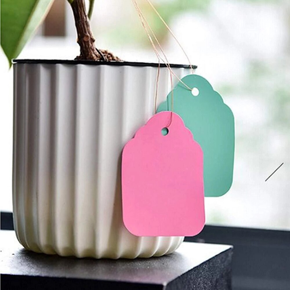 100 pcs Plant Hanging PVC Tags Tree Labels Waterpr... – Grandado