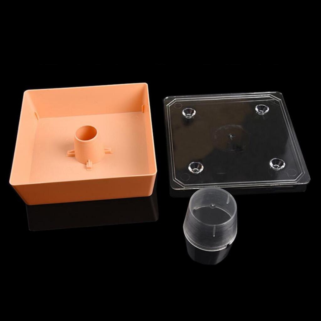 Square 2 Litres Beehive Top Feeder Bee Feeder Beek... – Grandado