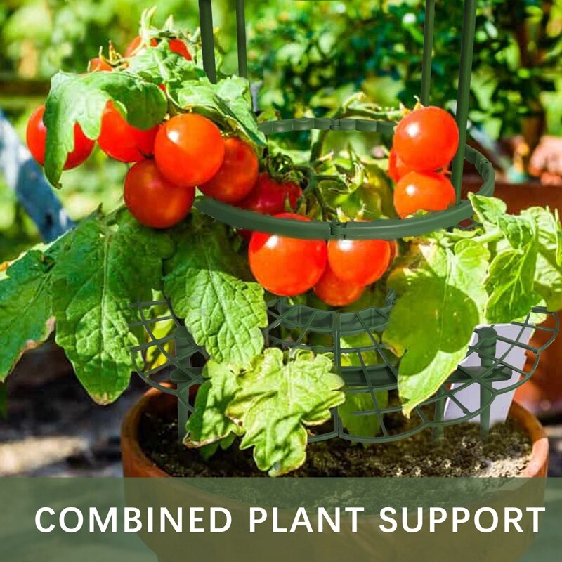 Plant Support, Prevent Fruit From Rotting Garden C... – Vicedeal