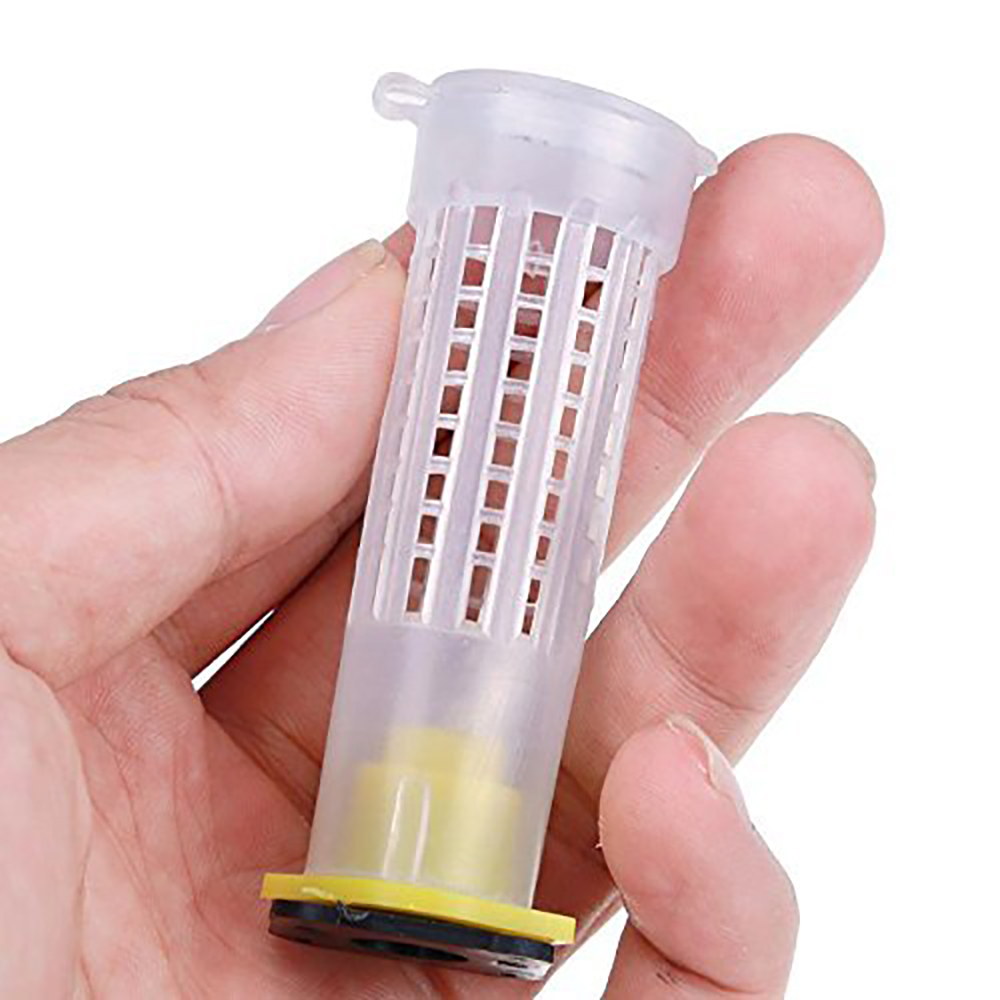 Bee rearing kit complete system bee queen cages ce... – Vicedeal