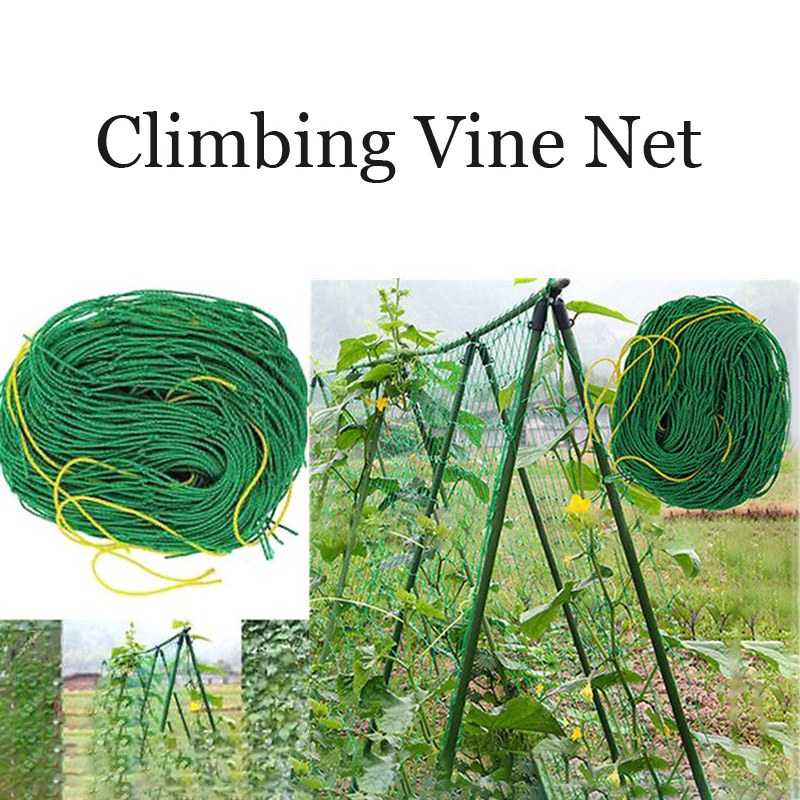 Plant Climbing Vine Net Horticultural Grid Net Cuc... – Grandado