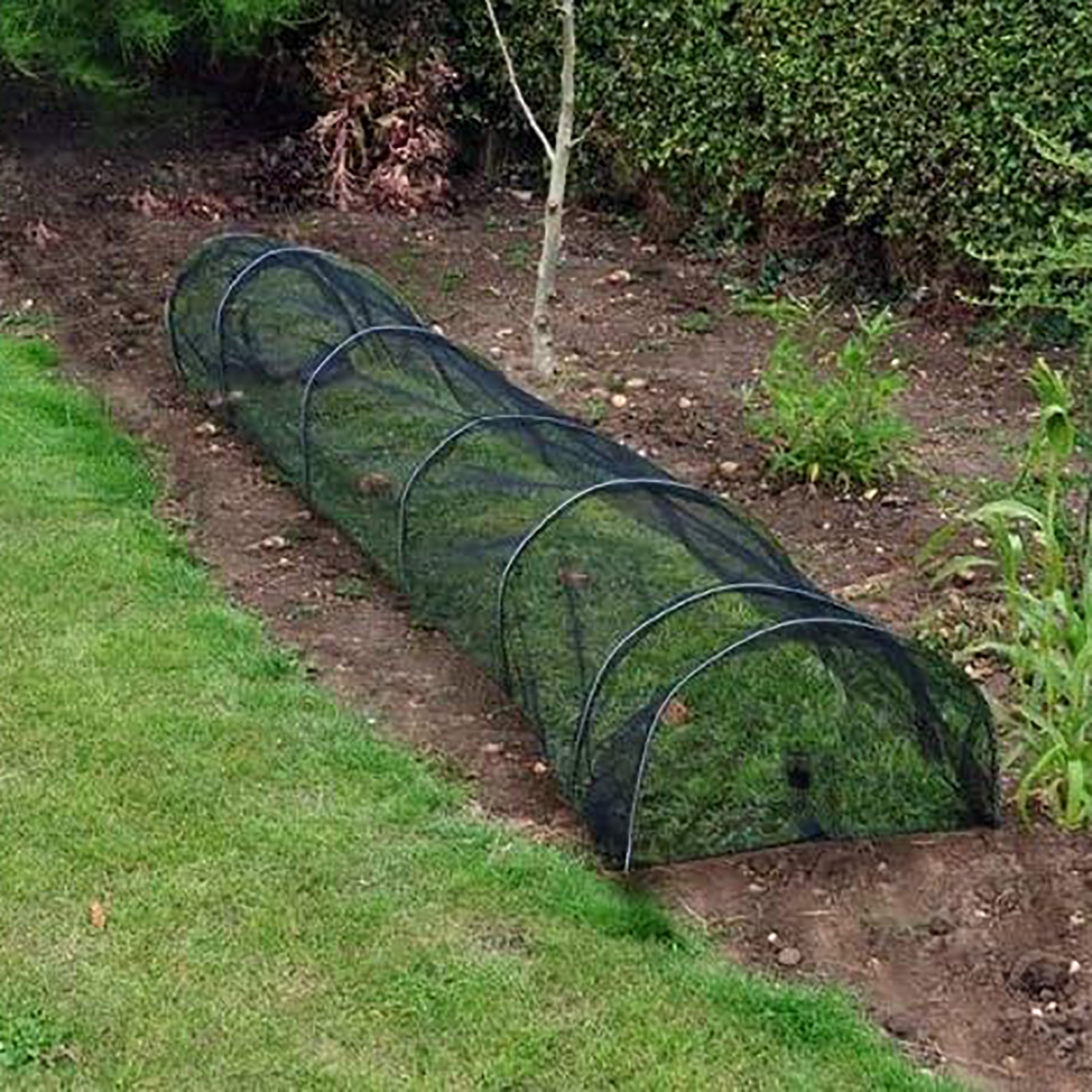 3M Insect Protection Net Garden Vegetable Plant Pr... – Grandado