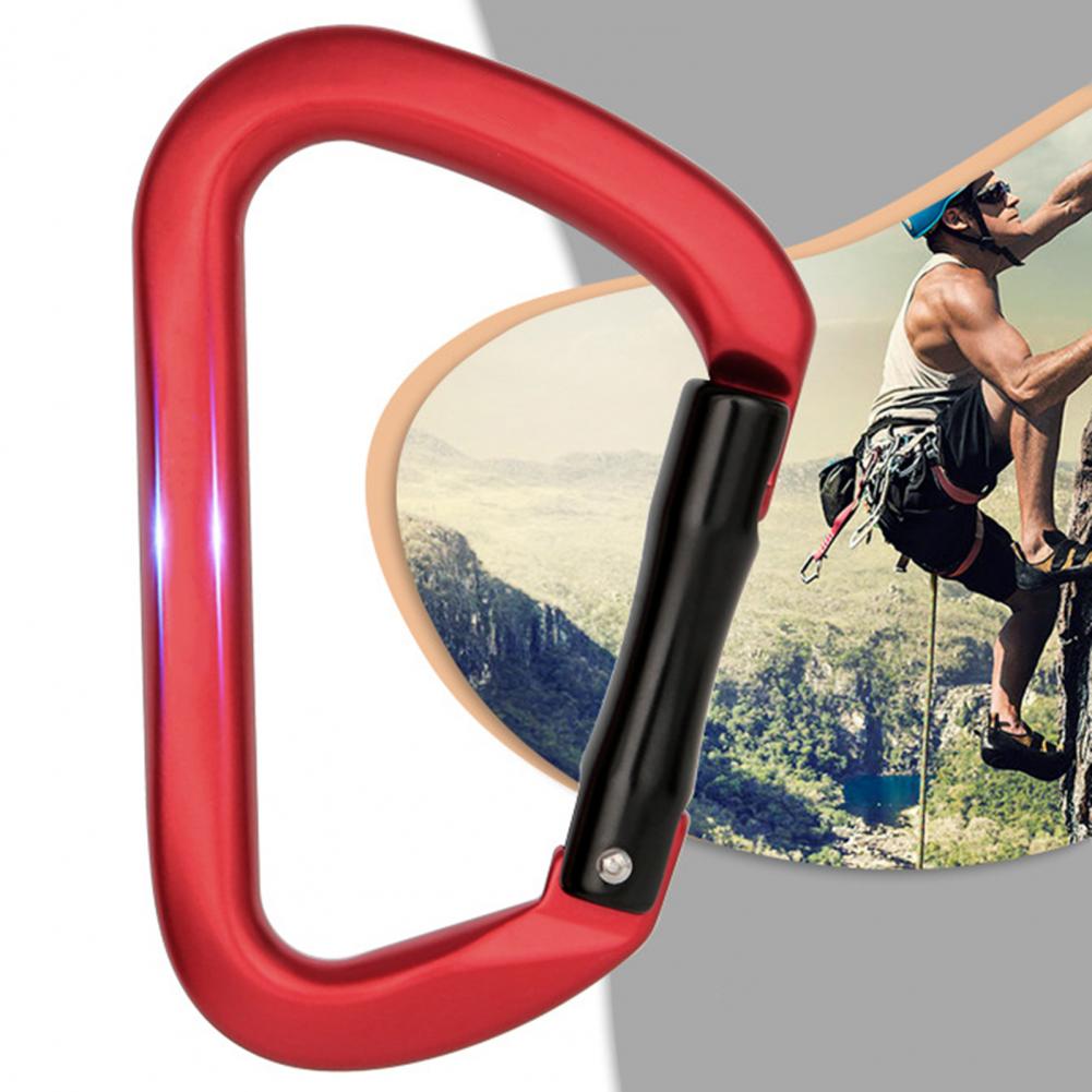 Outdoor D-Shaped Carabiner Mountaineering Climbing... – Grandado