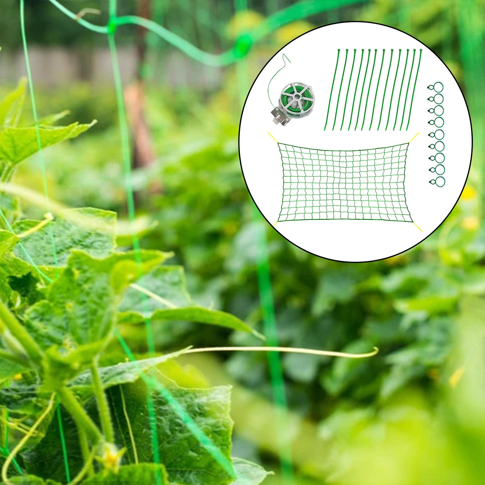 Flexible Net Trellis Elastic Trellis Netting With ... – Vicedeal