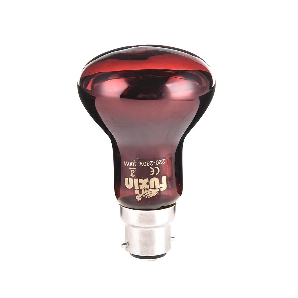 B22 Amphibian Snake Reptile Bulb Light Light Heat ... – Vicedeal