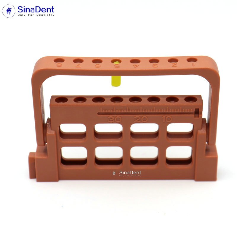 1Pcs Dental 8 Holes Endo Files Holder with Record ... – Grandado