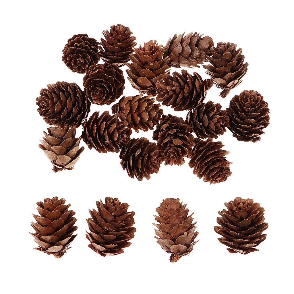 MagiDeal 60 Pieces/Pack Natural Decorative Pine Co... – Grandado