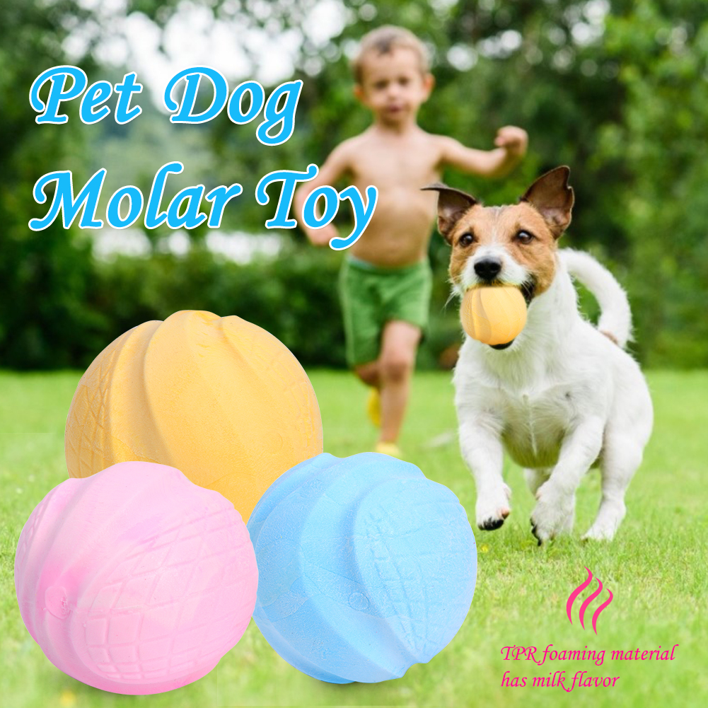 TPR Foam Bite Toys Chew Molar Interactive Playing ... – Vicedeal