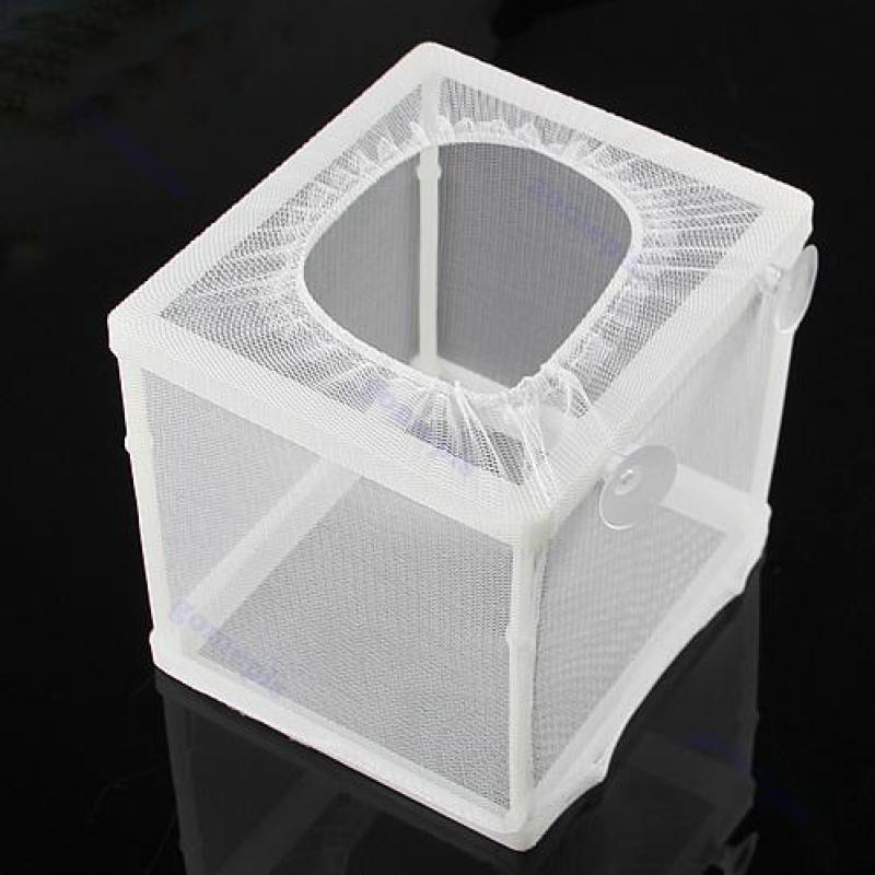 Fish Breeding Incubator Net Isolation Box Aquarium... – Grandado