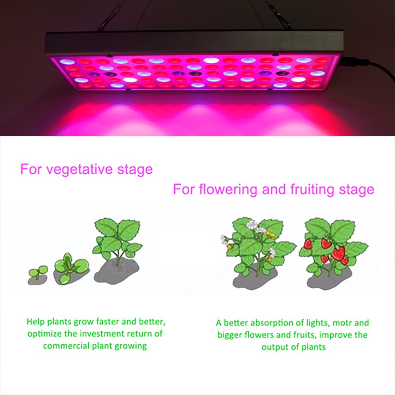Rantion 25W Led Grow Lampen 75Leds Groeiende Licht... – Grandado