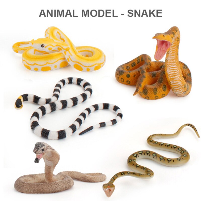 DIY Wild Jungle Zoo Animal Models Plastic Action F... – Grandado