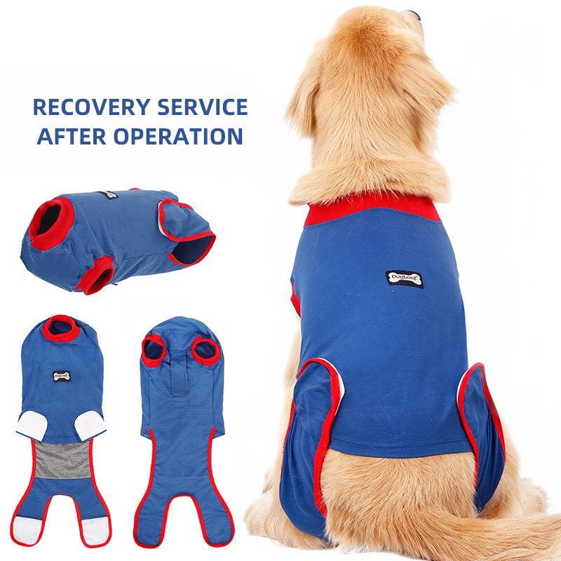 Pet Dog Recovery Suit Wound Protection Anti-lickin... – Grandado