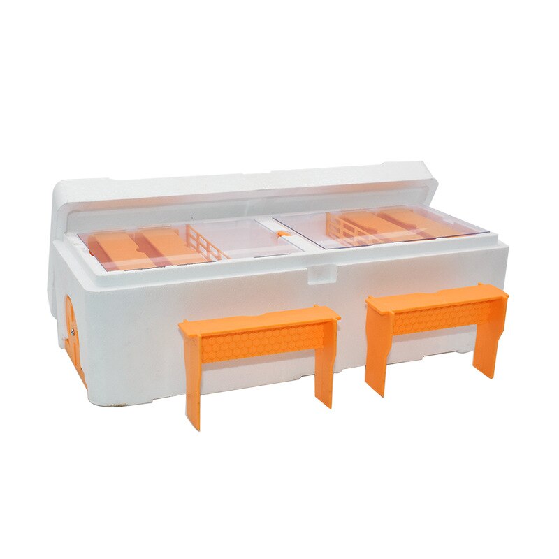 Beekeeping Box Bee Hive Mini Mating Box Bee Harves... – Vicedeal