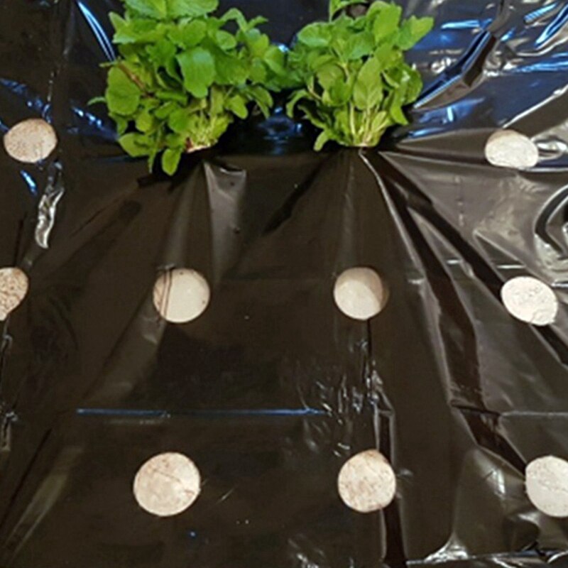 Black Plastic Mulch Film Agriculture Vegetable Pla... – Grandado