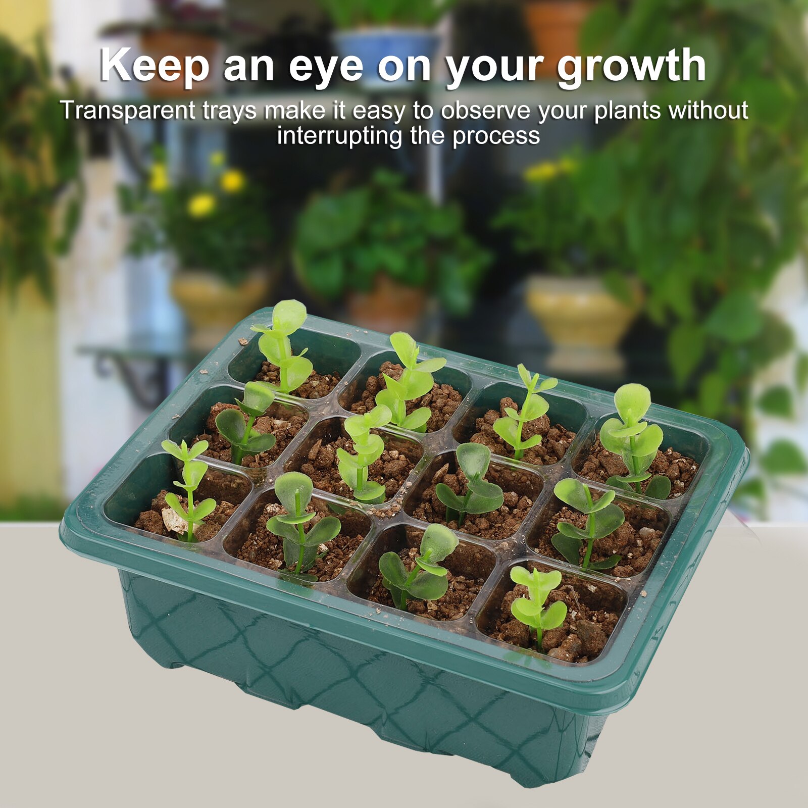 Seedling Box Humidity Adjustable Plant Starter Kit... – Grandado