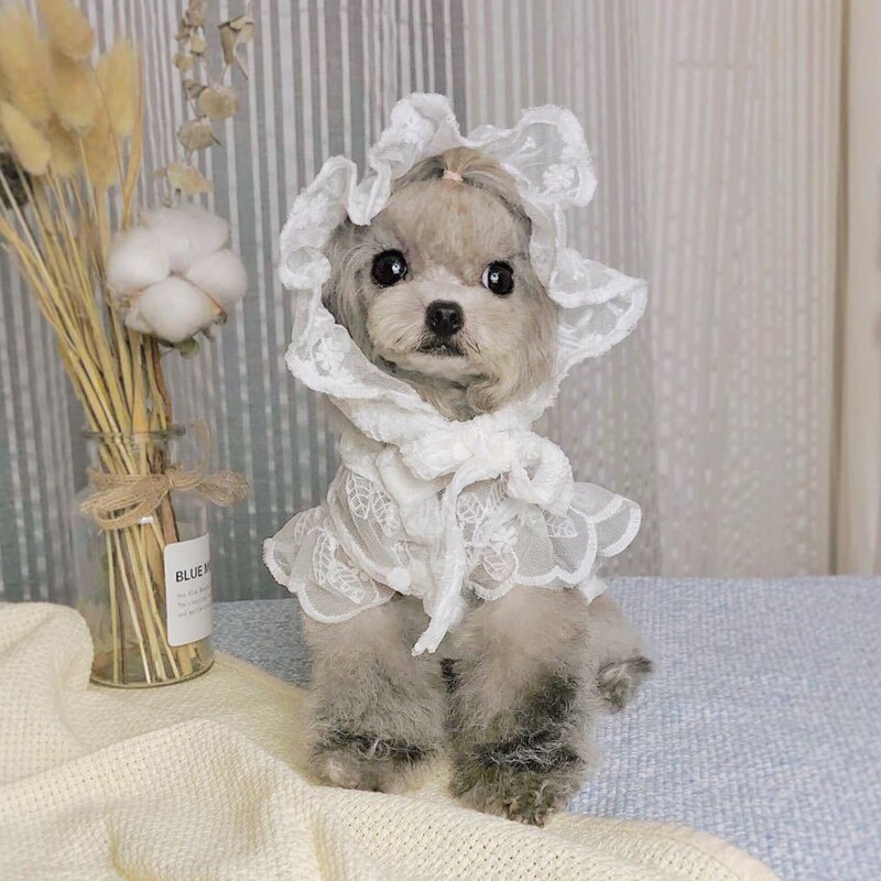 Spring Summer Pet Dog Clothes Lace Breathable Beau... – Vicedeal