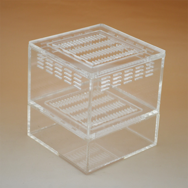 Mini Insect Feeding Box Acrylic Ant Breeding Box T... – Grandado