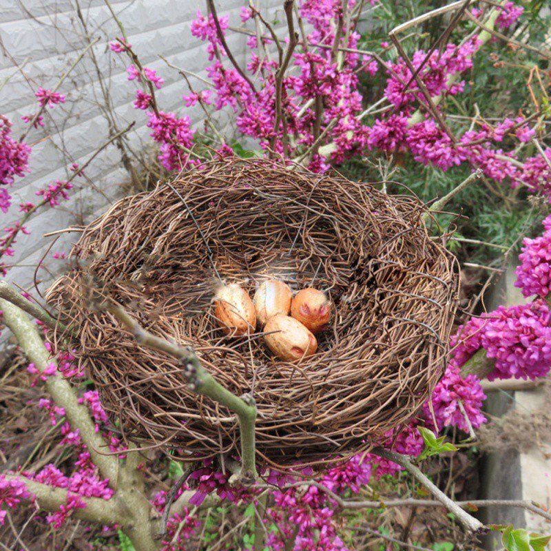 Rattan vævered vintage dekoration rekvisitter fugl... – Grandado