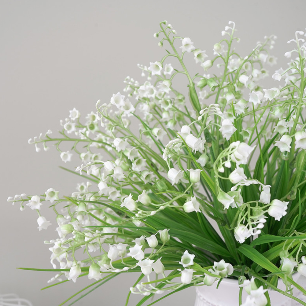 Bell Orchid Bonsai Flower Campanula Bonsai Flower ... – Grandado