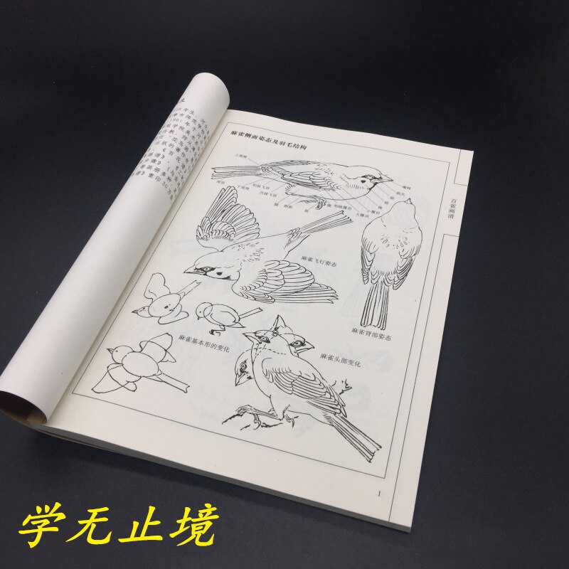 Chinese Painting Book For Sparrow Painting Xian Mi... – Vicedeal