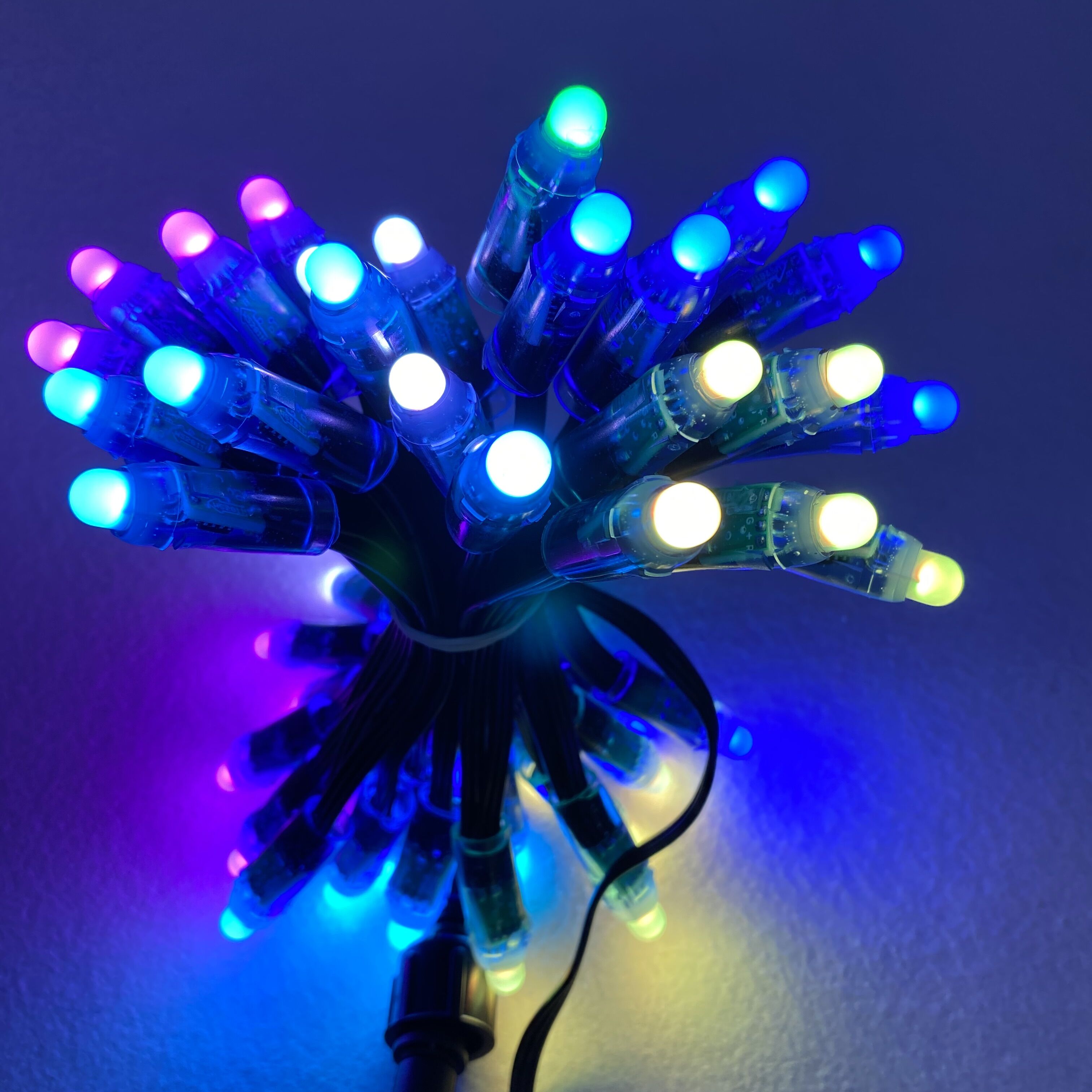 50 Stks/set Bullet Type DC5V Adresseerbare 12Mm WS... – Grandado