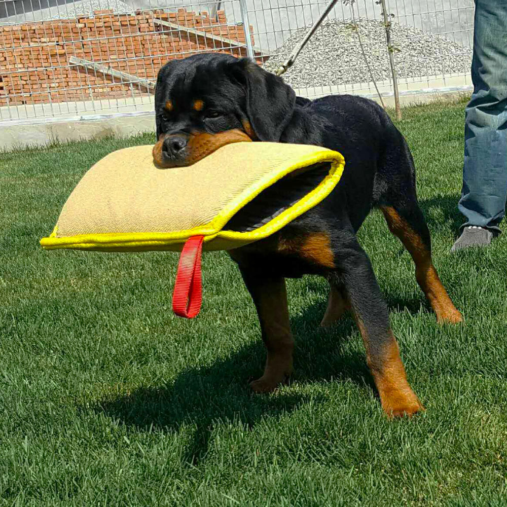 Hond Training Bite Mouwen Huisdier Sleepboten Spee... – Grandado