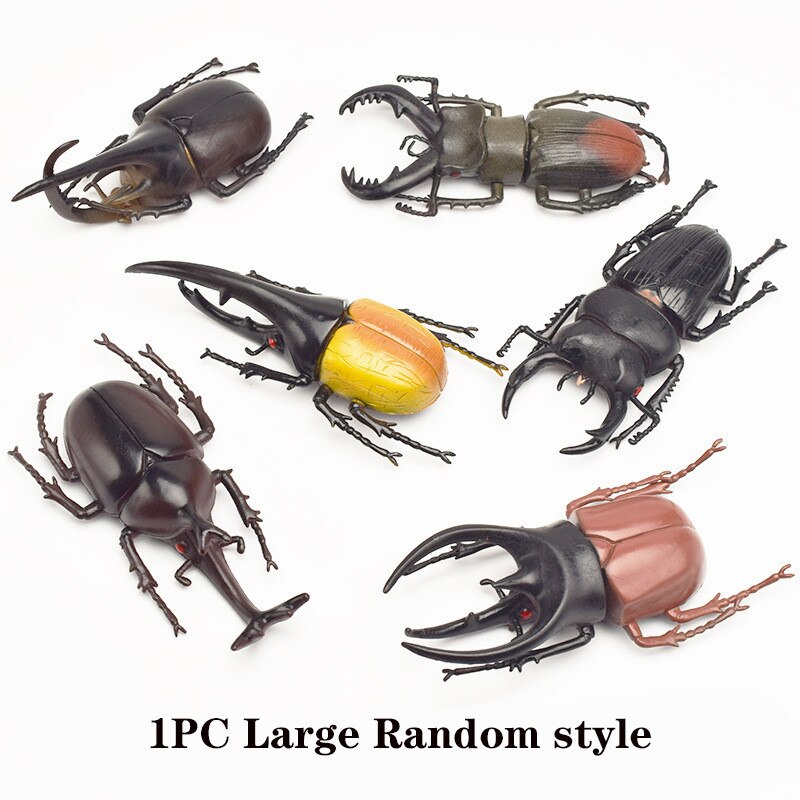5pcs 5.5/13cm Simulation Beetle Toys Special Lifel... – Vicedeal