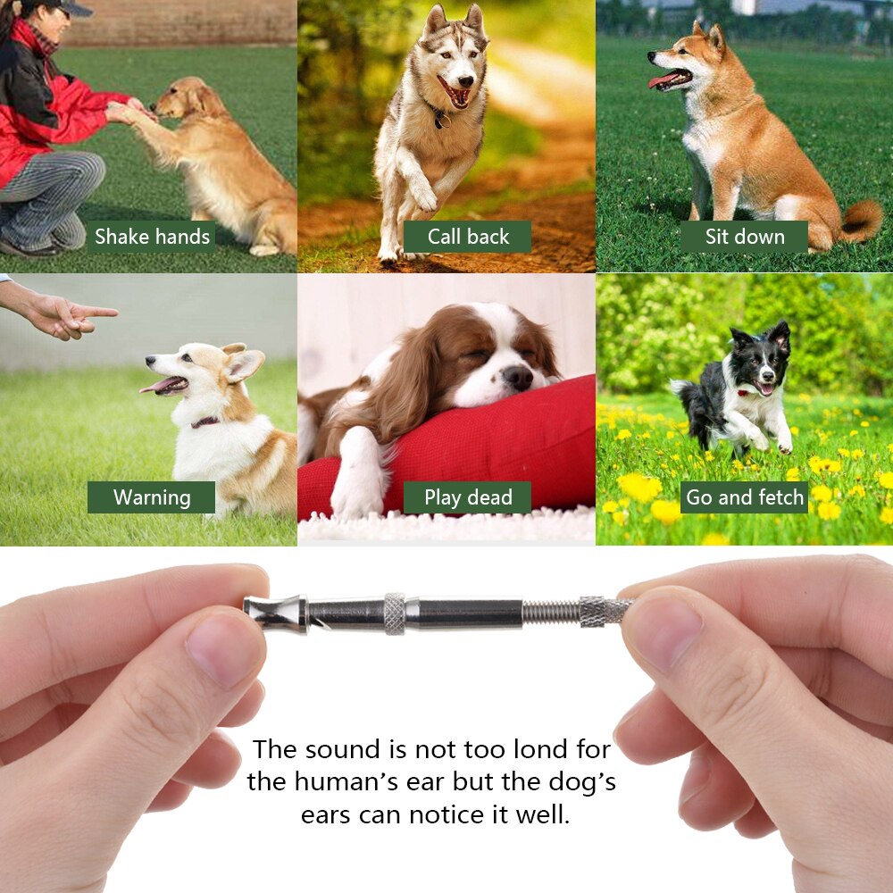 Ultrasonic Dog Repeller Pet Discipline Training Ad... – Vicedeal