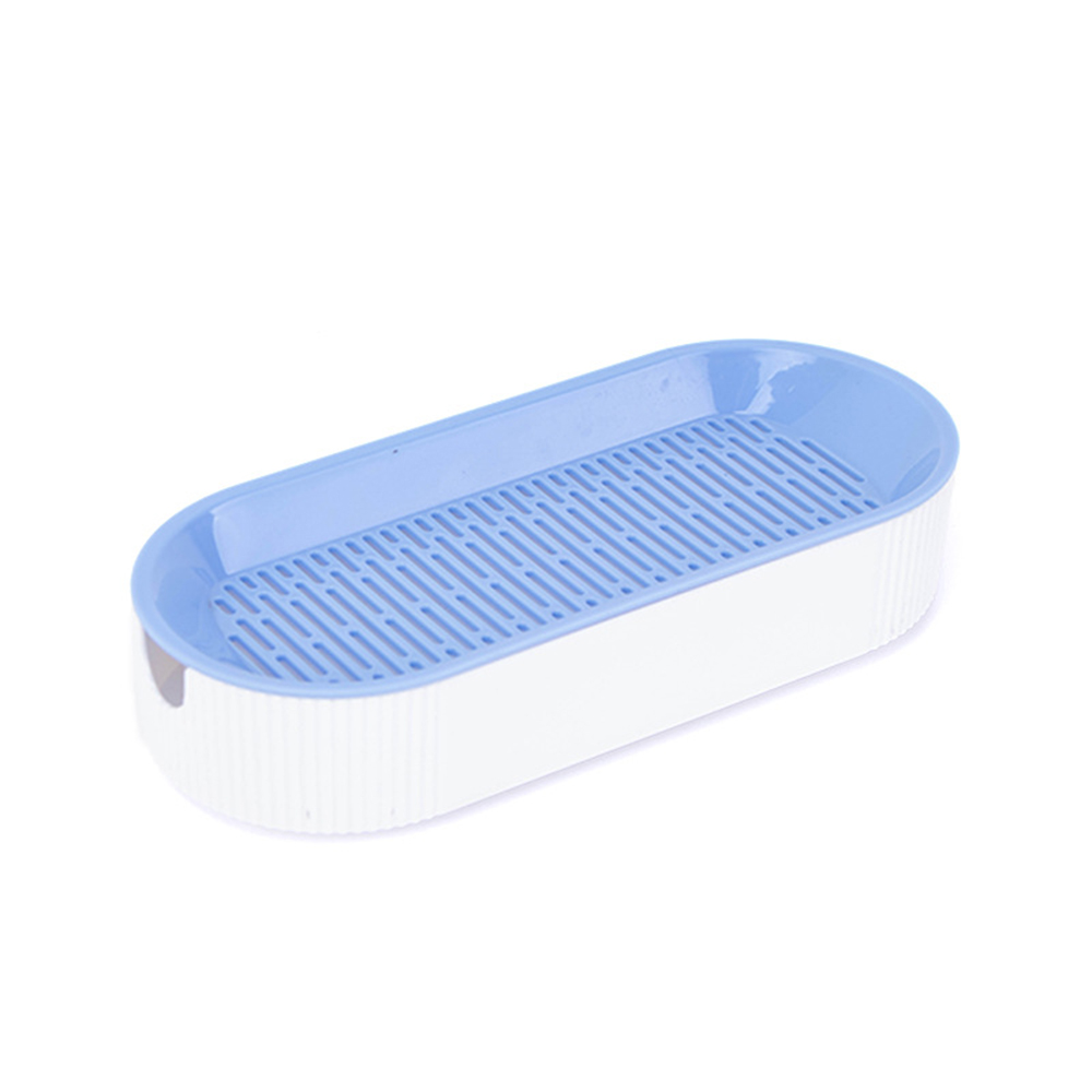 Pet Cat Sprout Dish Growing Pot Hydroponic Plant C... – Grandado