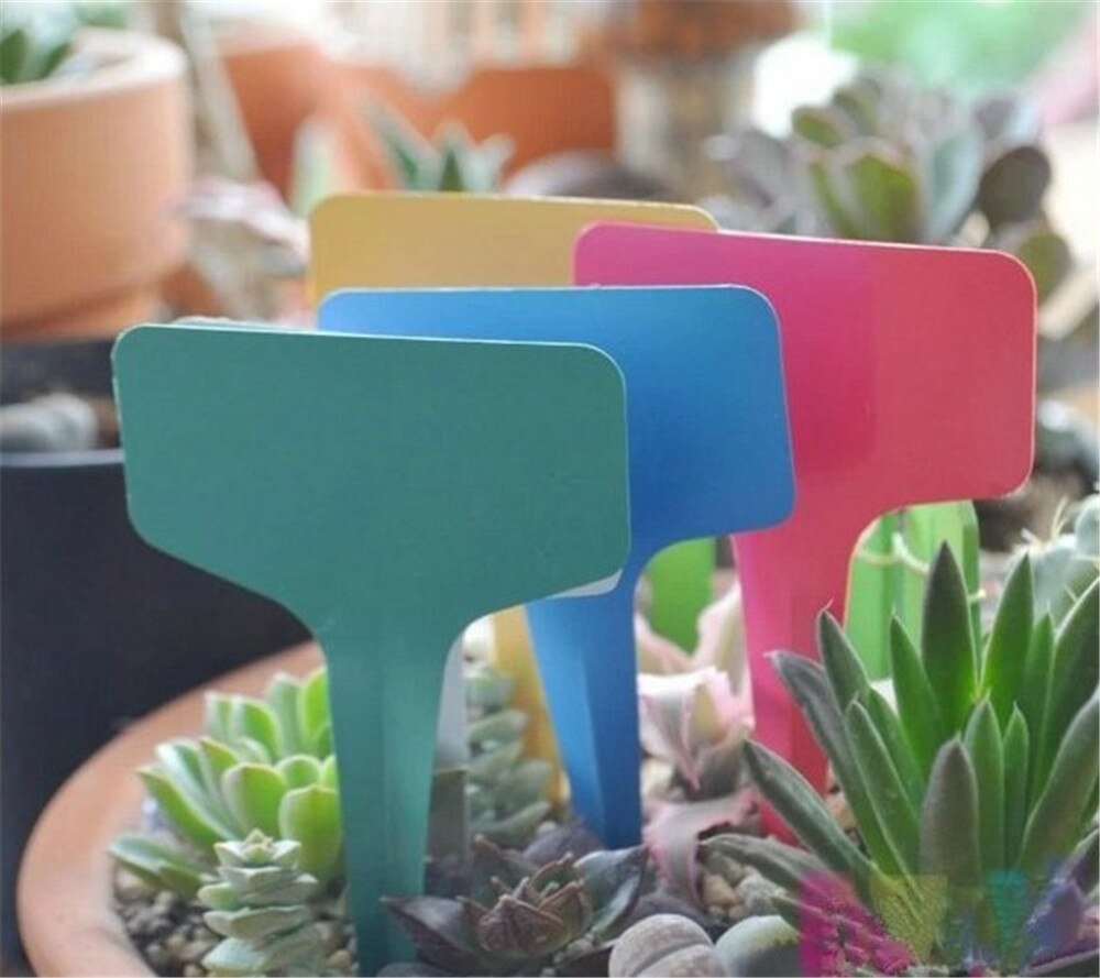 100pcs 6x10cm T-type Nursery Garden Plant Tag Flow... – Vicedeal