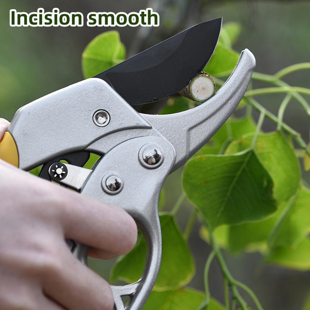 Behogar Stainless Steel Garden Trimming Scissors P... – Grandado