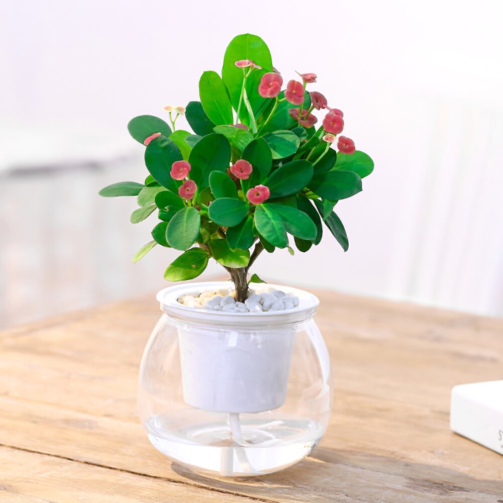 Plastic Self Watering Pot Plant Flower Pot Succule... – Grandado