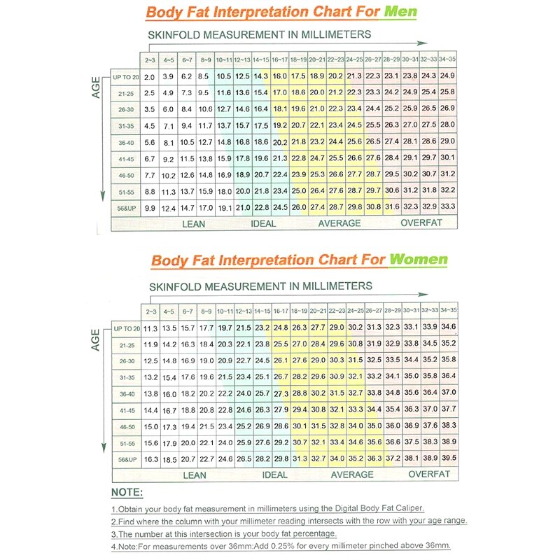 Portable LCD Digital Display Body Fat Monitor Anal... – Vicedeal