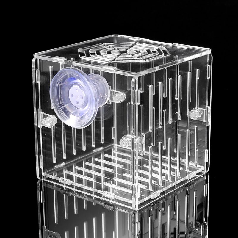 Acrylic Aquarium Fish Breeding Isolation Box With ... – Vicedeal