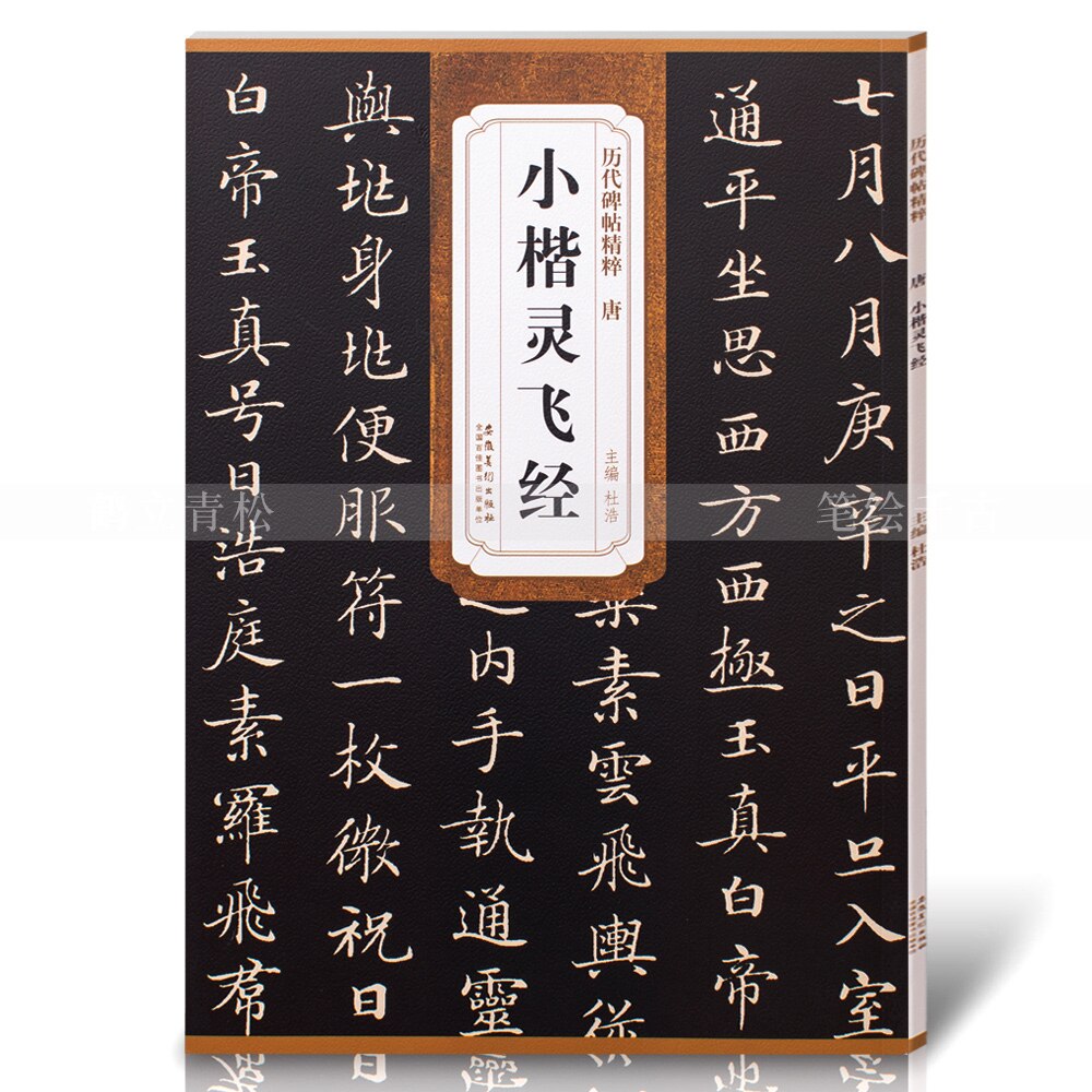 Lingfei Scripture Calligraphy Copybook Chinese Cha... – Vicedeal