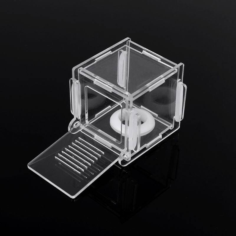 Ant Nest Glass Tube Mini Ant Nest with Active Zone... – Vicedeal