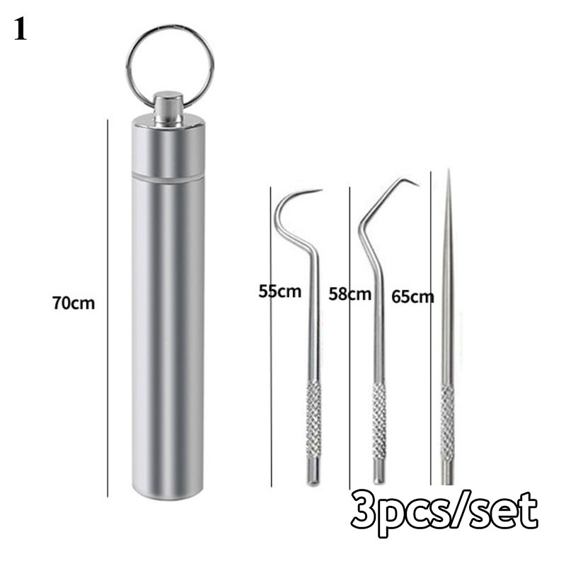 1 Set Toothpicks Pocket Set Stainless Steel Reusab... – Grandado