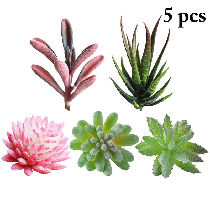 Juego de plantas de flores suculentas de simulació... – Grandado