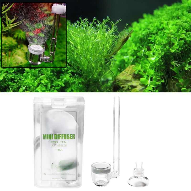 Akvarium co2 system boble diffuser u formet forst... – Grandado