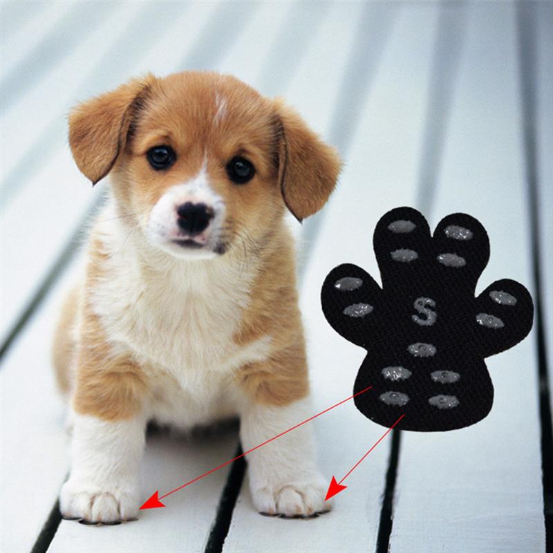 4pcs/set Dog Paw Protection Pads Anti Slip Pet Paw... – Grandado