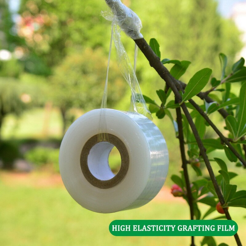 Stretchable Garden Grafting Tape for Floral Fruit ... – Grandado