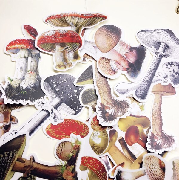 16Pcs/Pack Diary Vintage Mushroom Sticker DIY Craf... – Vicedeal