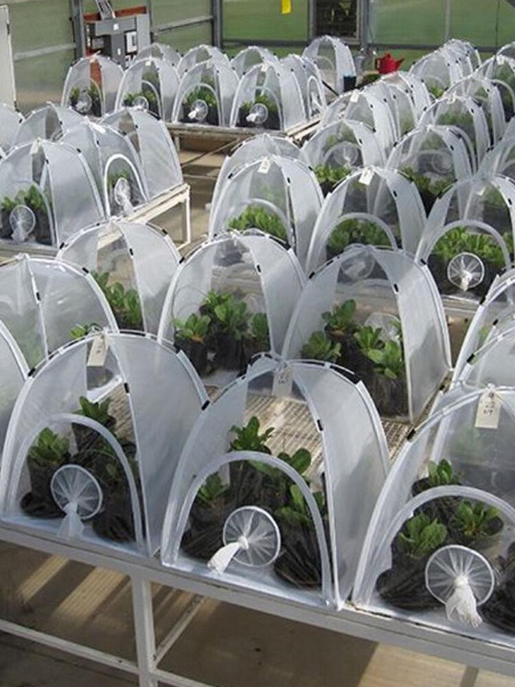 Multifunctional Plant Insulation Shed Garden Green... – Grandado