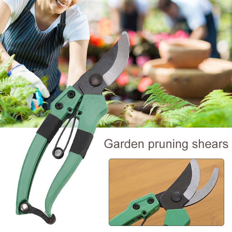 Plant Trim Horticulture Hand Pruner Cut Secateur S... – Grandado