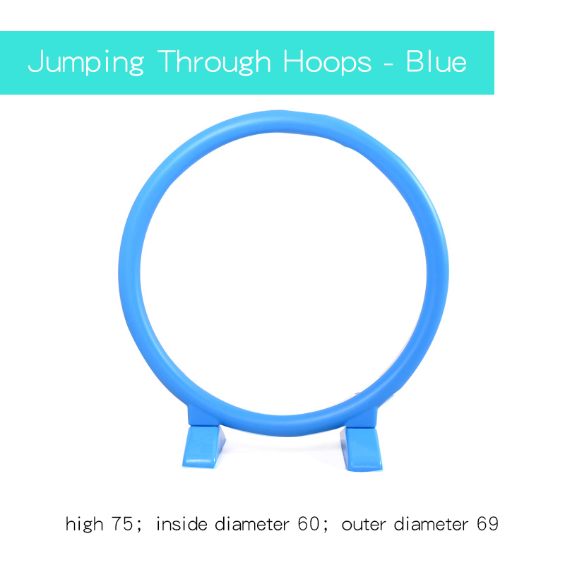 Ruizhi Children Hurdles Sport Jumping Through Hoop... – Vicedeal