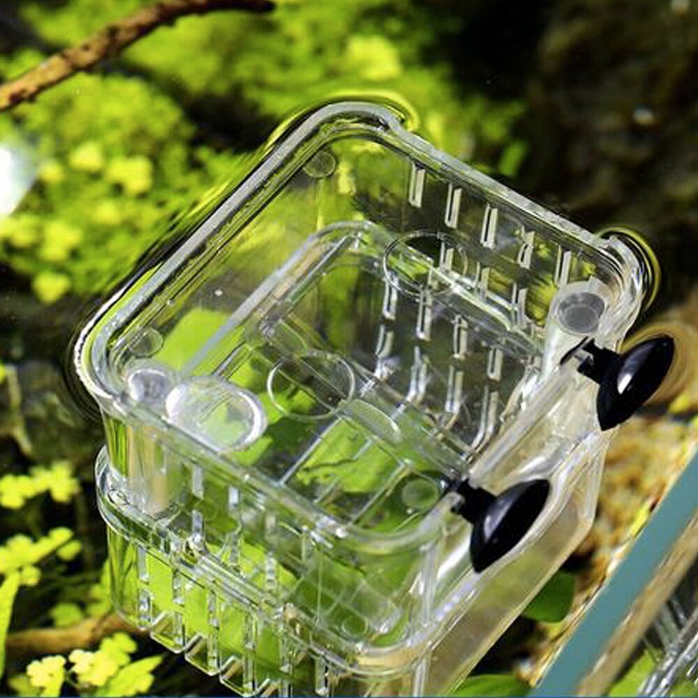 10*13*7cm DoubleDeck High Clear Aquarium Fish Bree... – Grandado