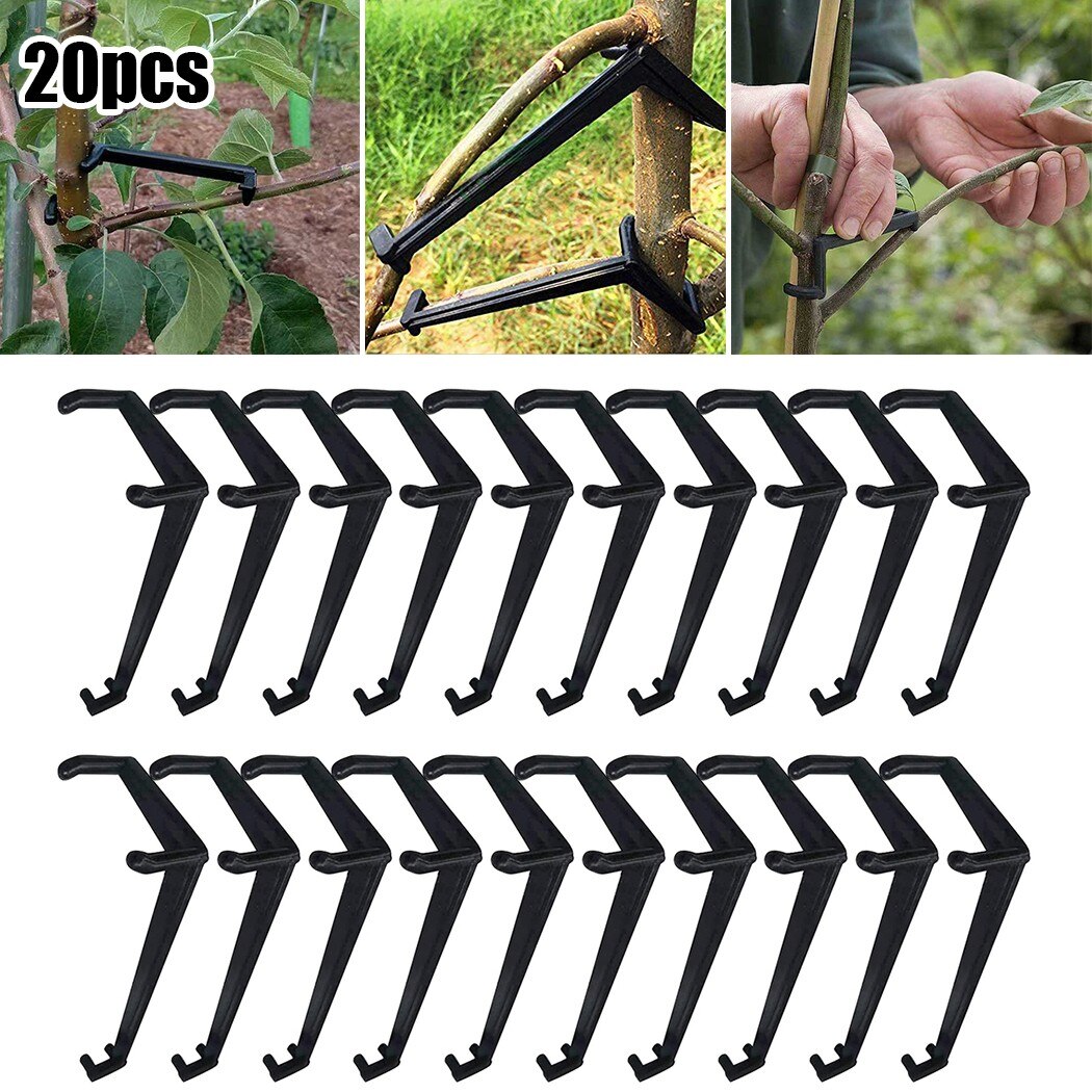 20pcs Fruit Branch Spreader Forms Stronger Branche... – Grandado