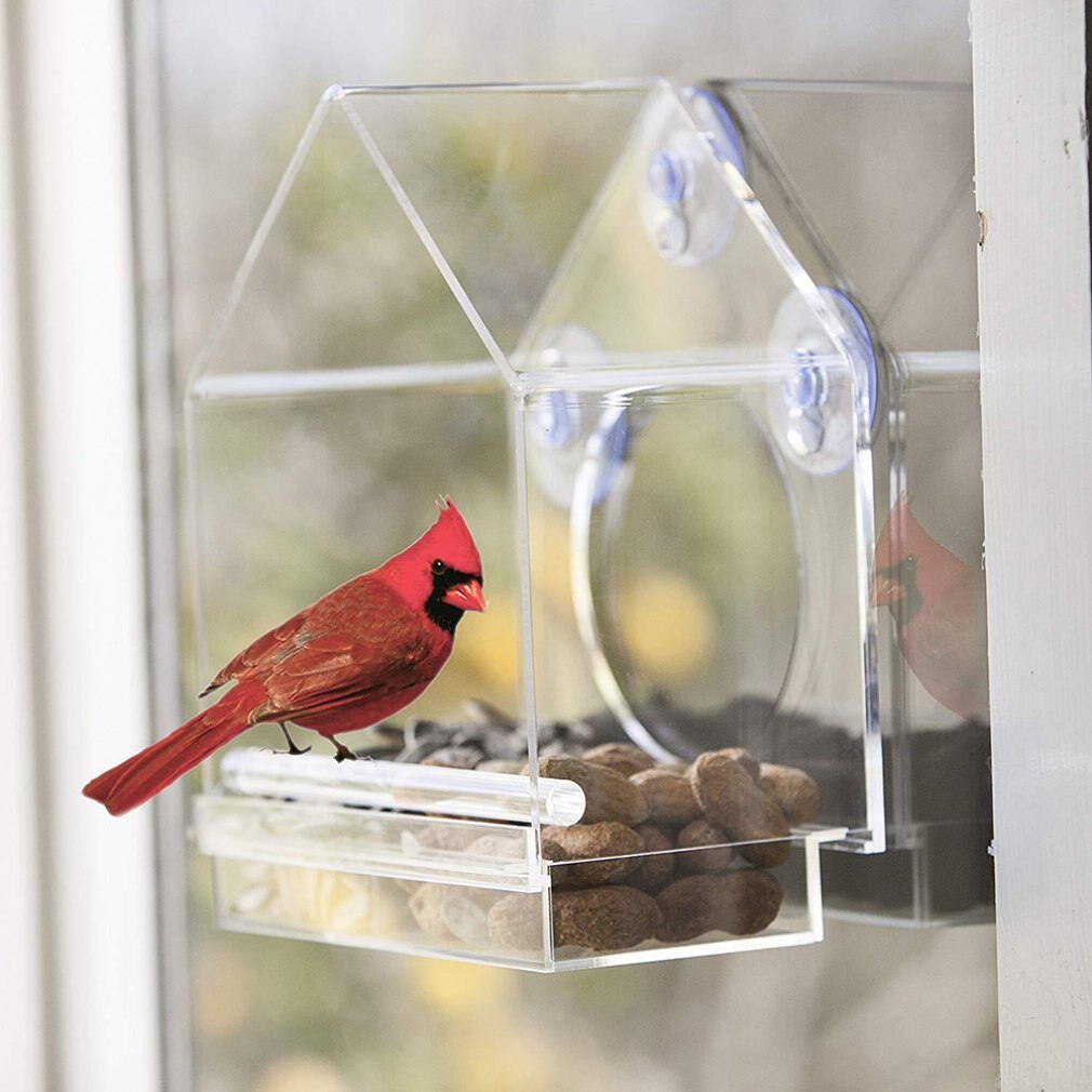 Bird Feeder Acrylic Transparent Window Viewing Bir... – Vicedeal