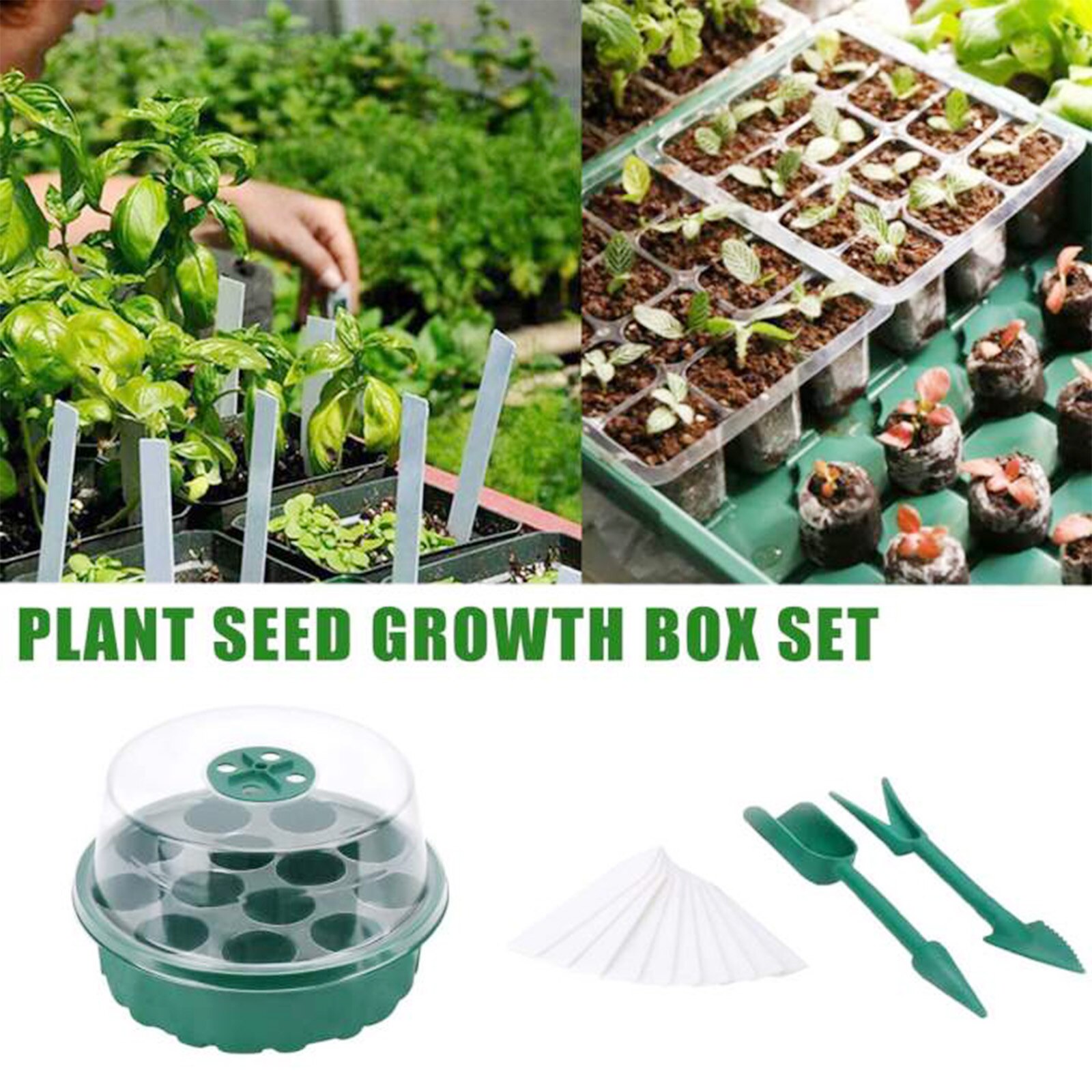 Seed Starter Tray Kit - 13 Cells Mini Propagator w... – Grandado