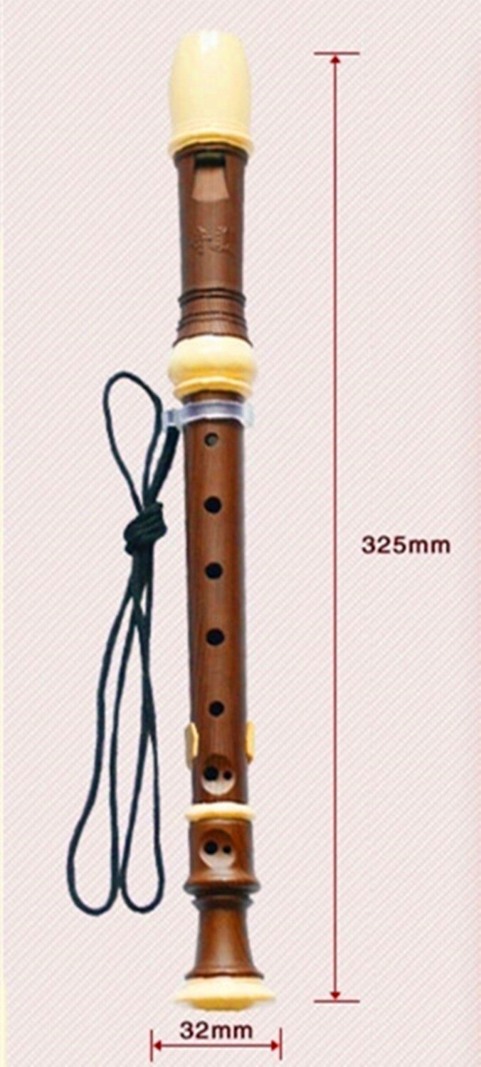 German-style 8 Holes Recorder Soprano Clarinet Chi... – Grandado
